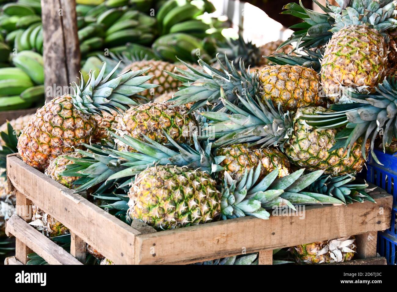 pineapples in the market in nicoya costa rica central america Stock ...