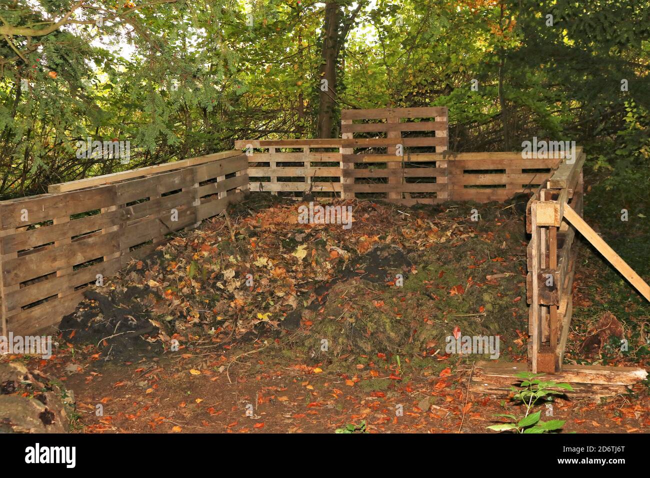 Wooden compost pile in forest Stock Photo - Alamy