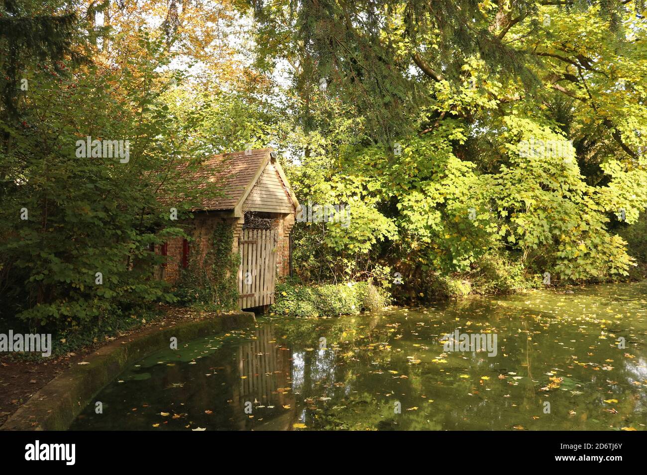 Old shed at water edge of lake on a sunny Autumn day Stock Photo - Alamy