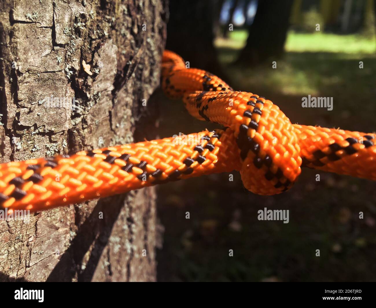 Tie to support tree hi-res stock photography and images - Alamy