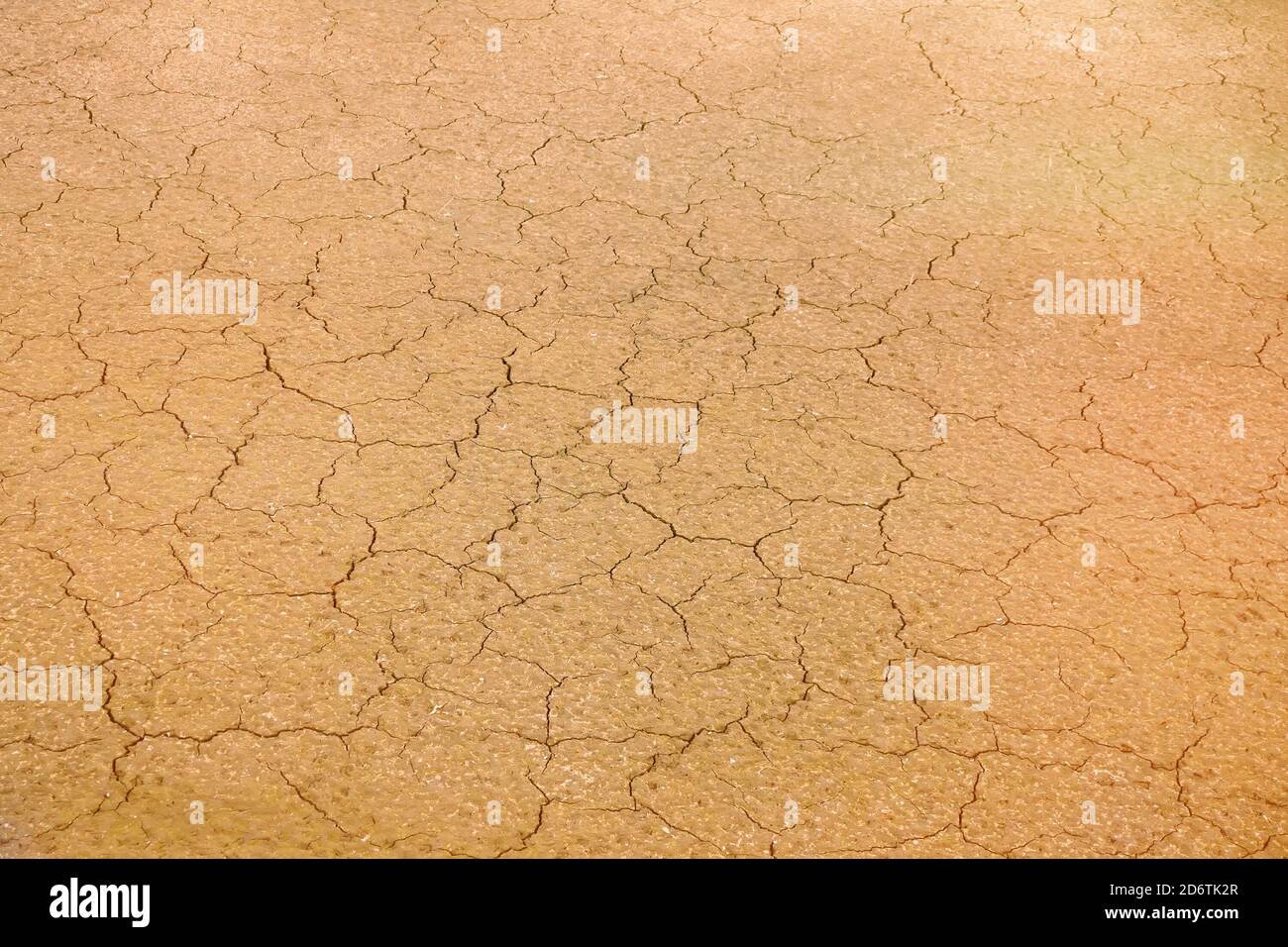 Texture of cracked soil in the desert, close-up Stock Photo - Alamy