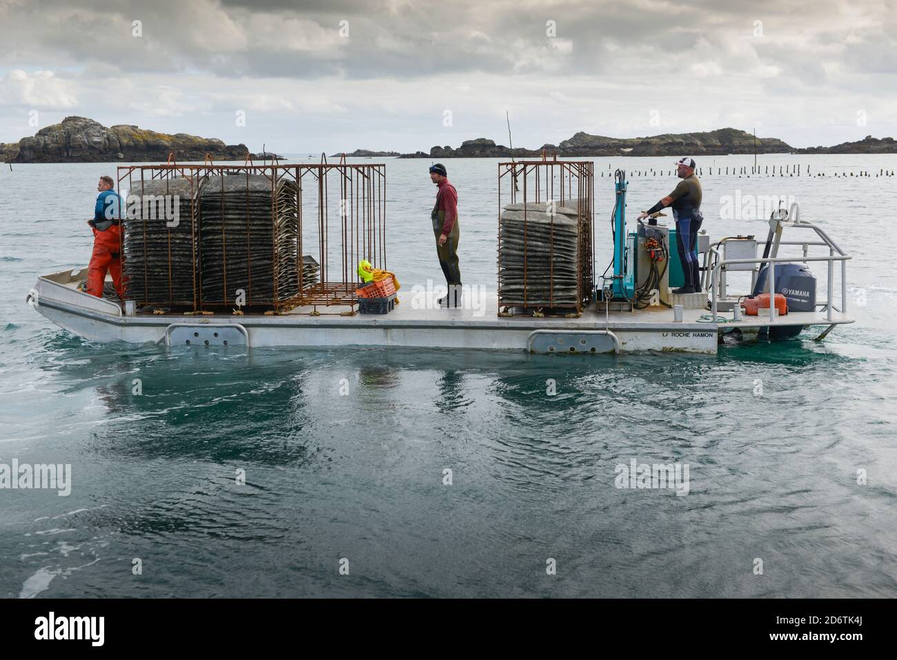 Aquaculture fish farming hi-res stock photography and images - Alamy