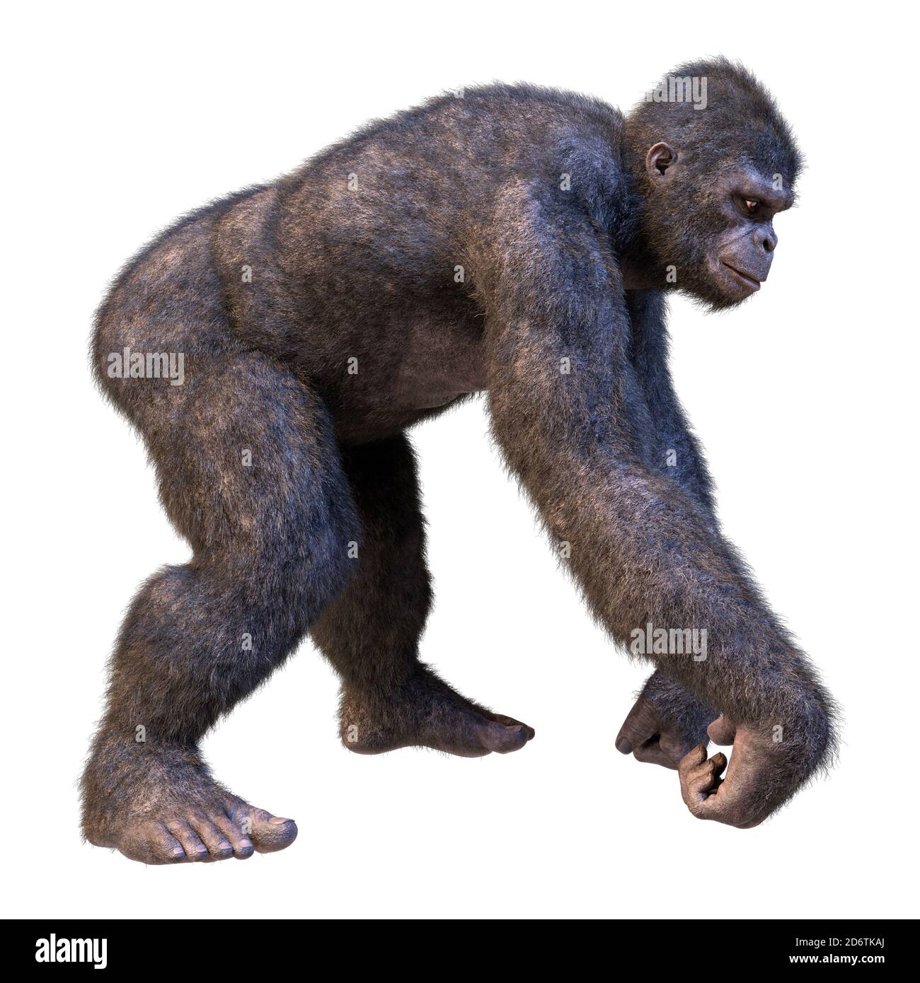 3D rendering of a gorilla ape isolated on white background Stock Photo ...