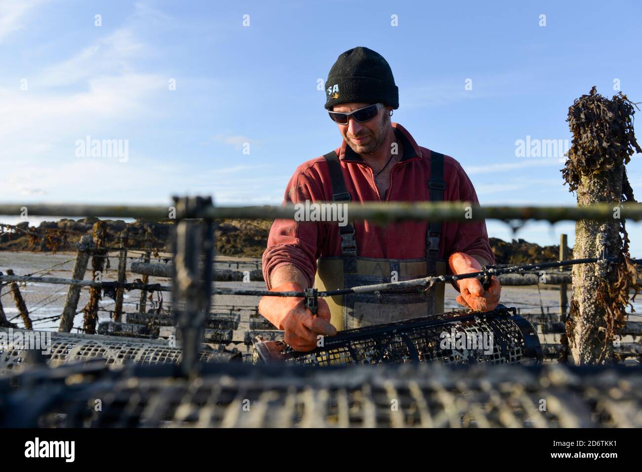 Aquaculture fish farming hi-res stock photography and images - Alamy