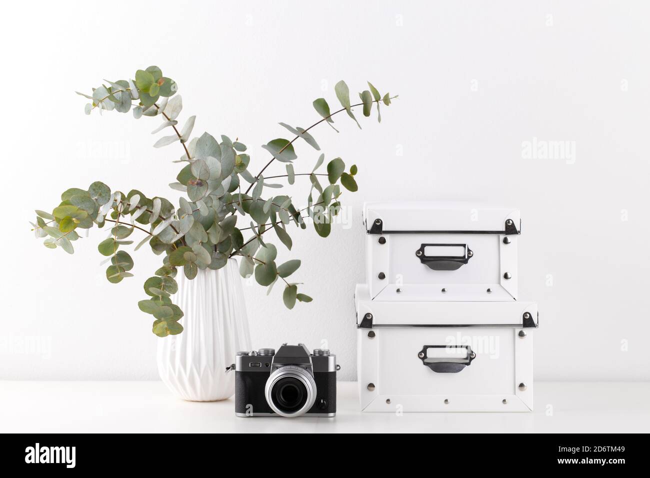 Bouquet of eucalyptus in the ceramic vase camera camera and storage ...