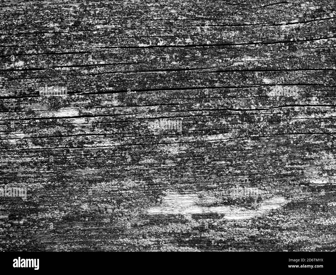 Worn wood texture detail. Abstract background, rough textured and ...