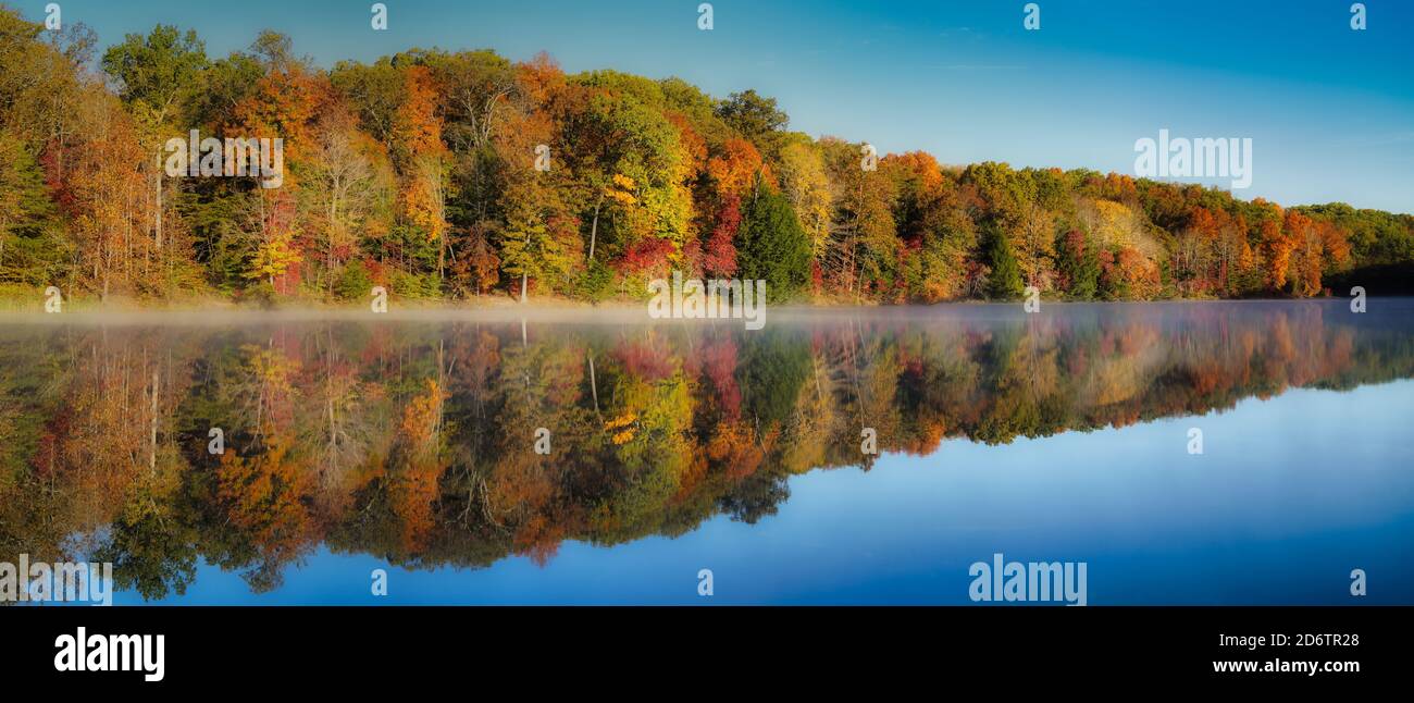 Rose Lake on foggy morning. Mist over water with colorful trees in ...