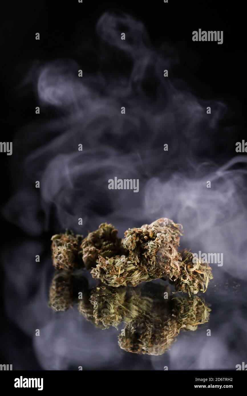 Cannabis branch and joint in the smoke on a black background. Marijuana ...