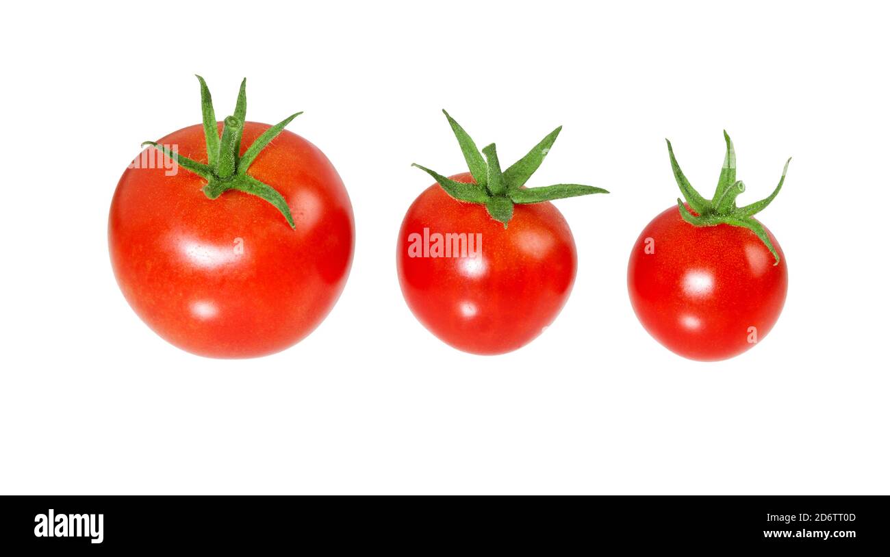 Tomato isolated on white background. Fresh red three tomato with ...