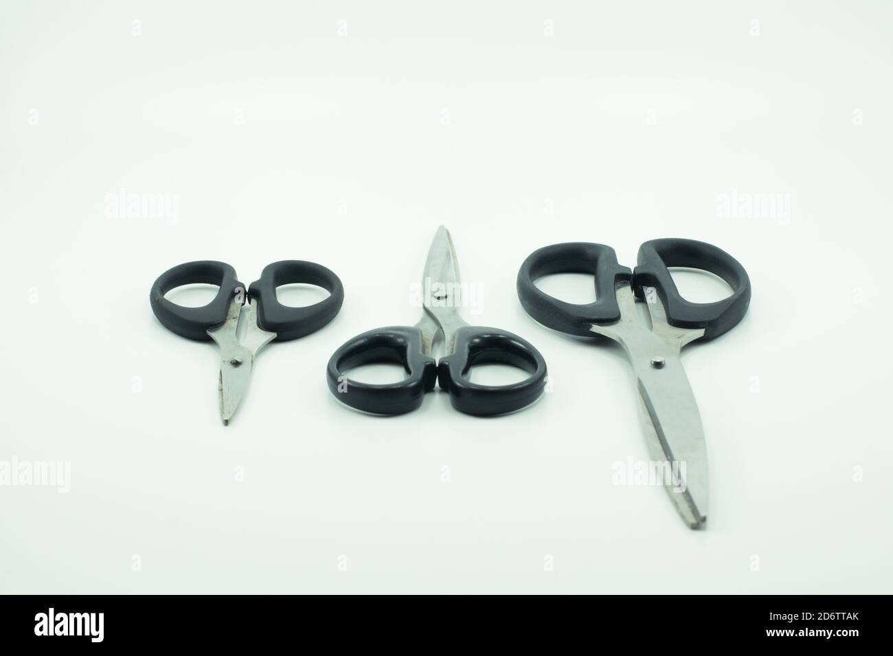 The Scissors Family gathered into formation Stock Photo - Alamy