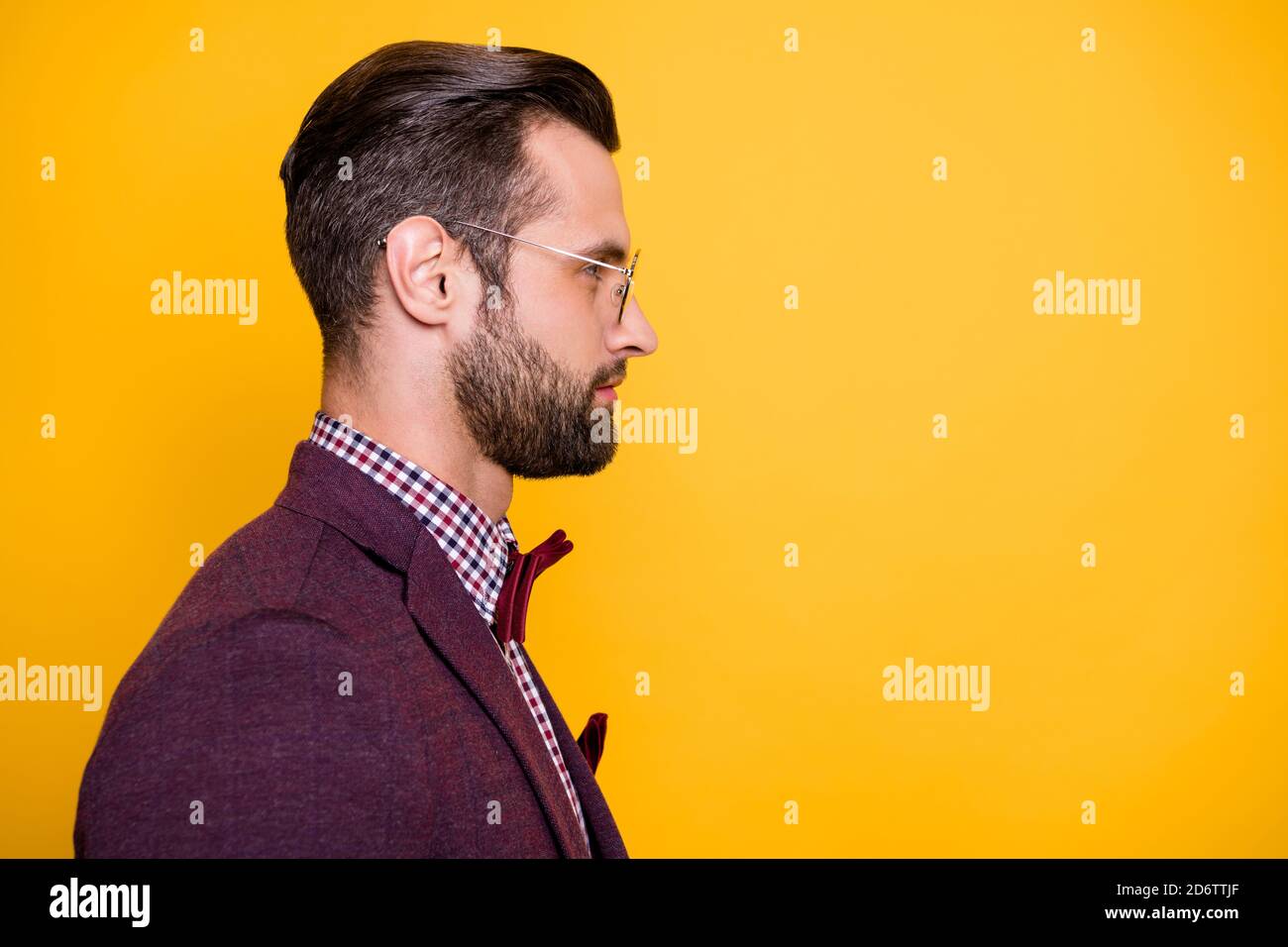 Close-up profile side view portrait of his he nice attractive calm ...