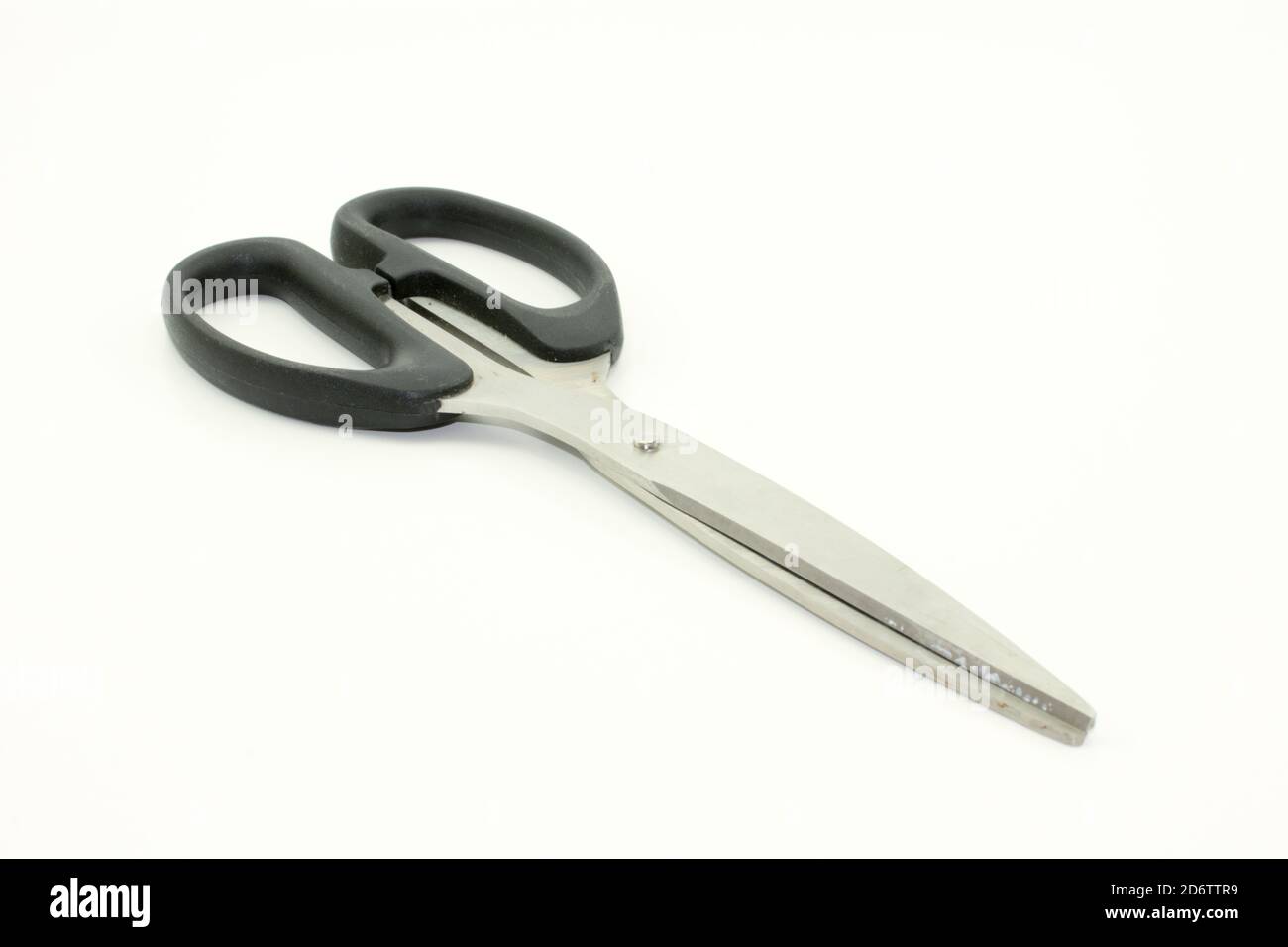 The Scissors Family gathered into formation Stock Photo - Alamy