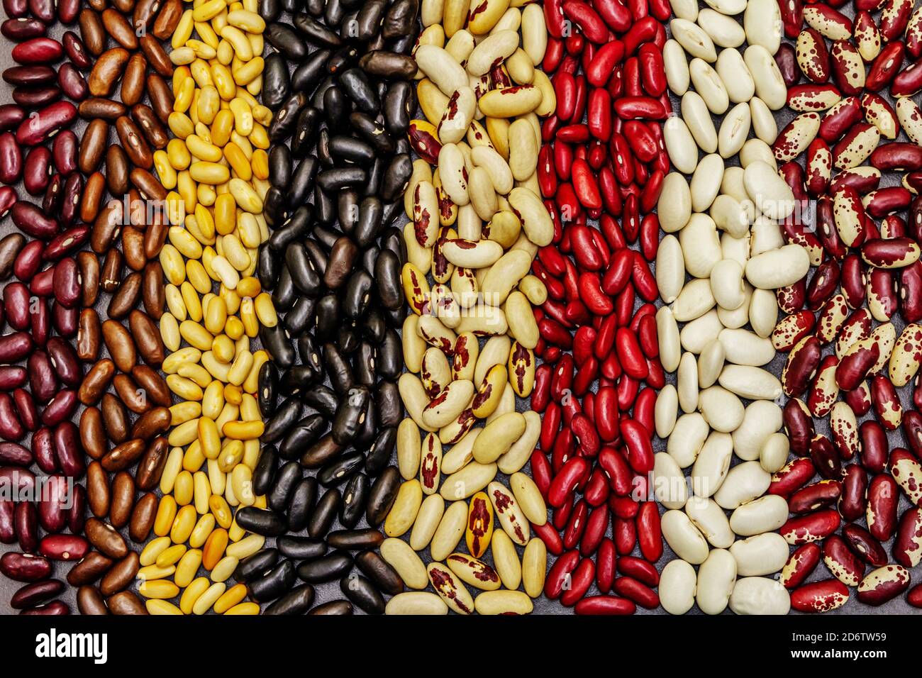 Set of various dry legumes scattered in stripes, indispensable protein ...