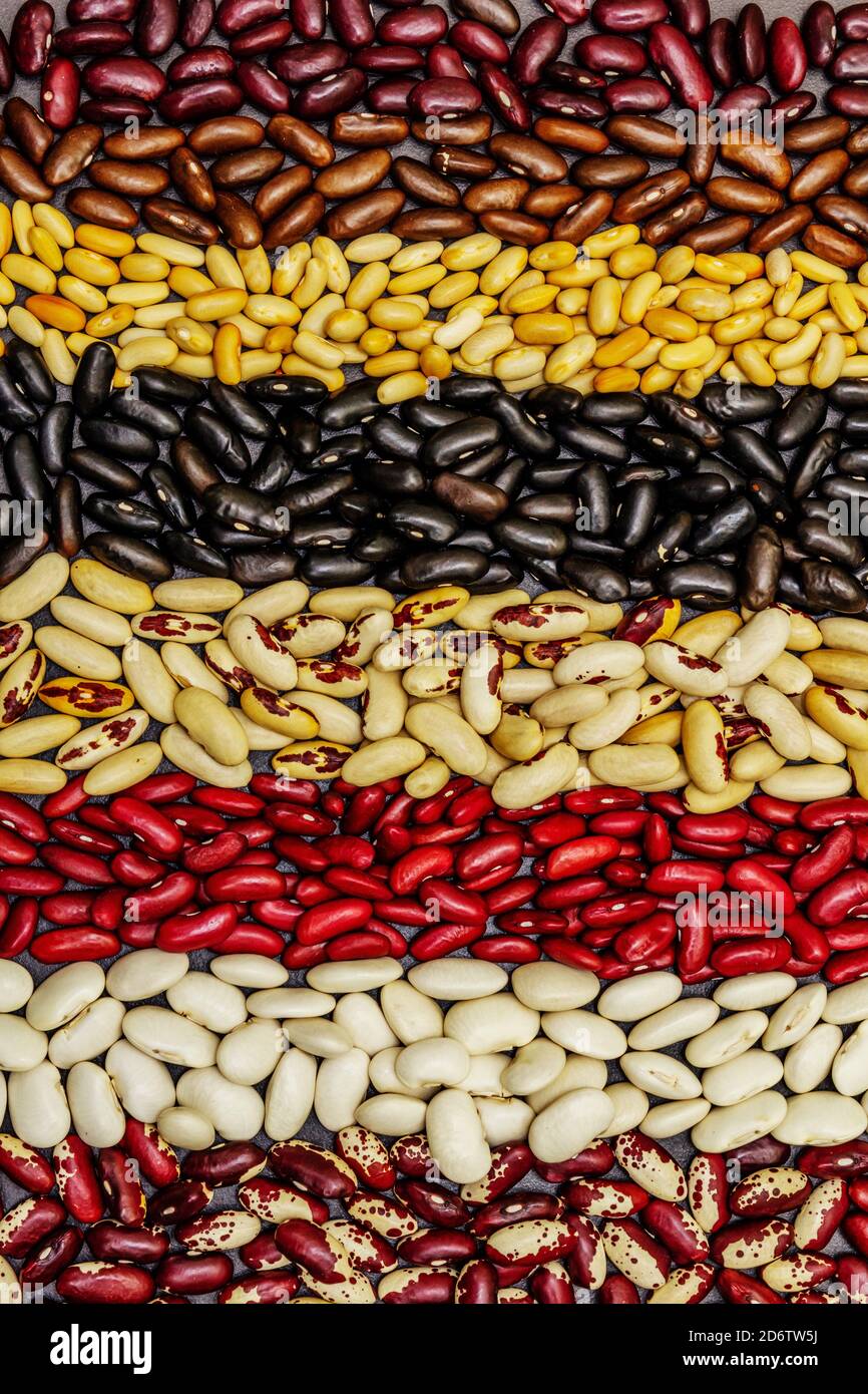 Set of various dry legumes scattered in stripes, indispensable protein ...