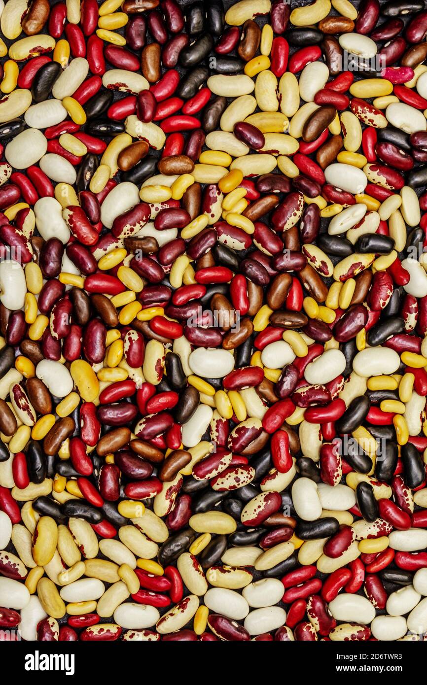 Assorted different types of beans. Set of various dry legumes as ...