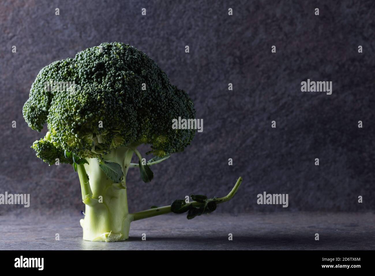Single stem of broccoli Stock Photo - Alamy