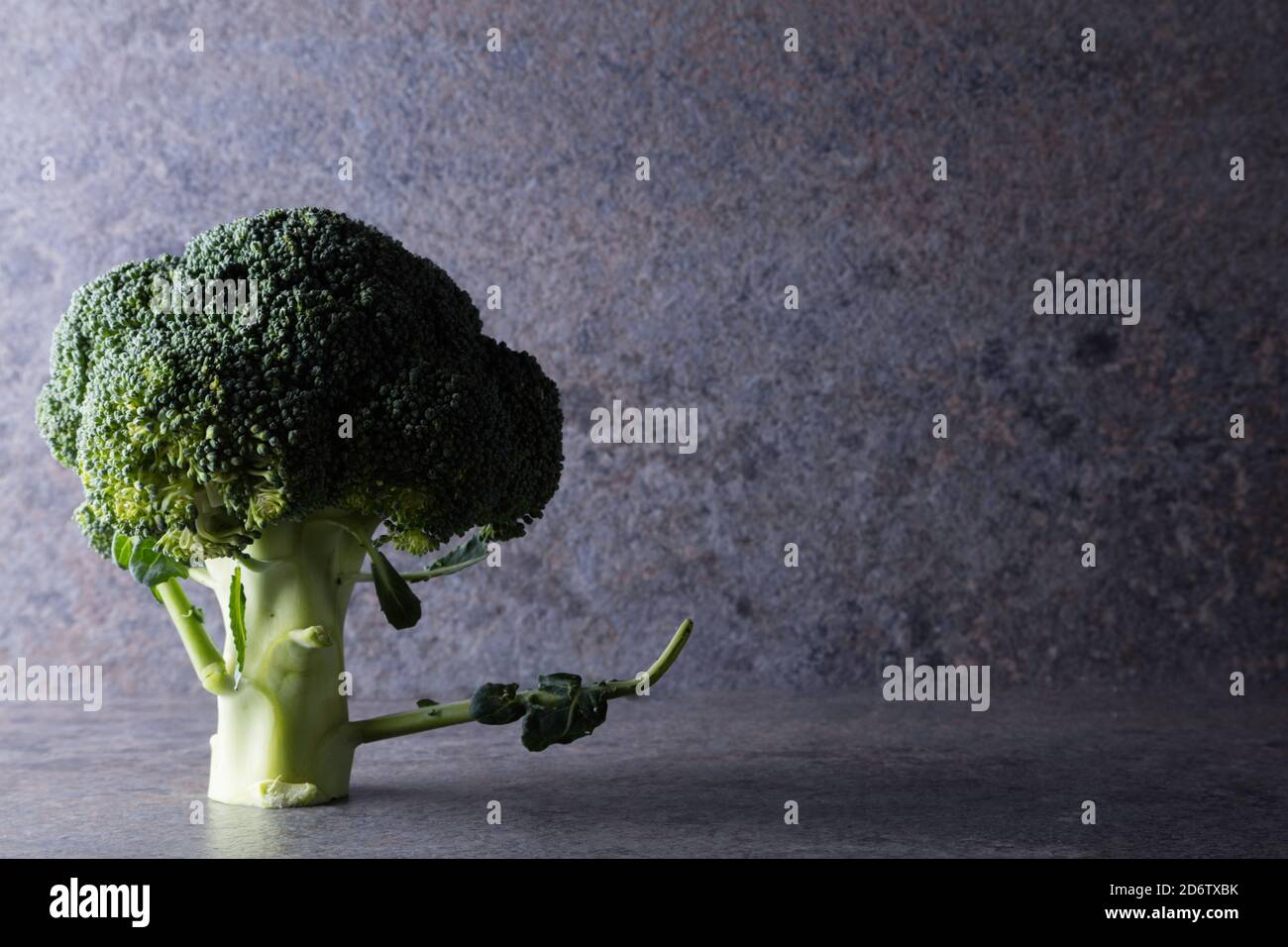 Single stem of broccoli Stock Photo - Alamy