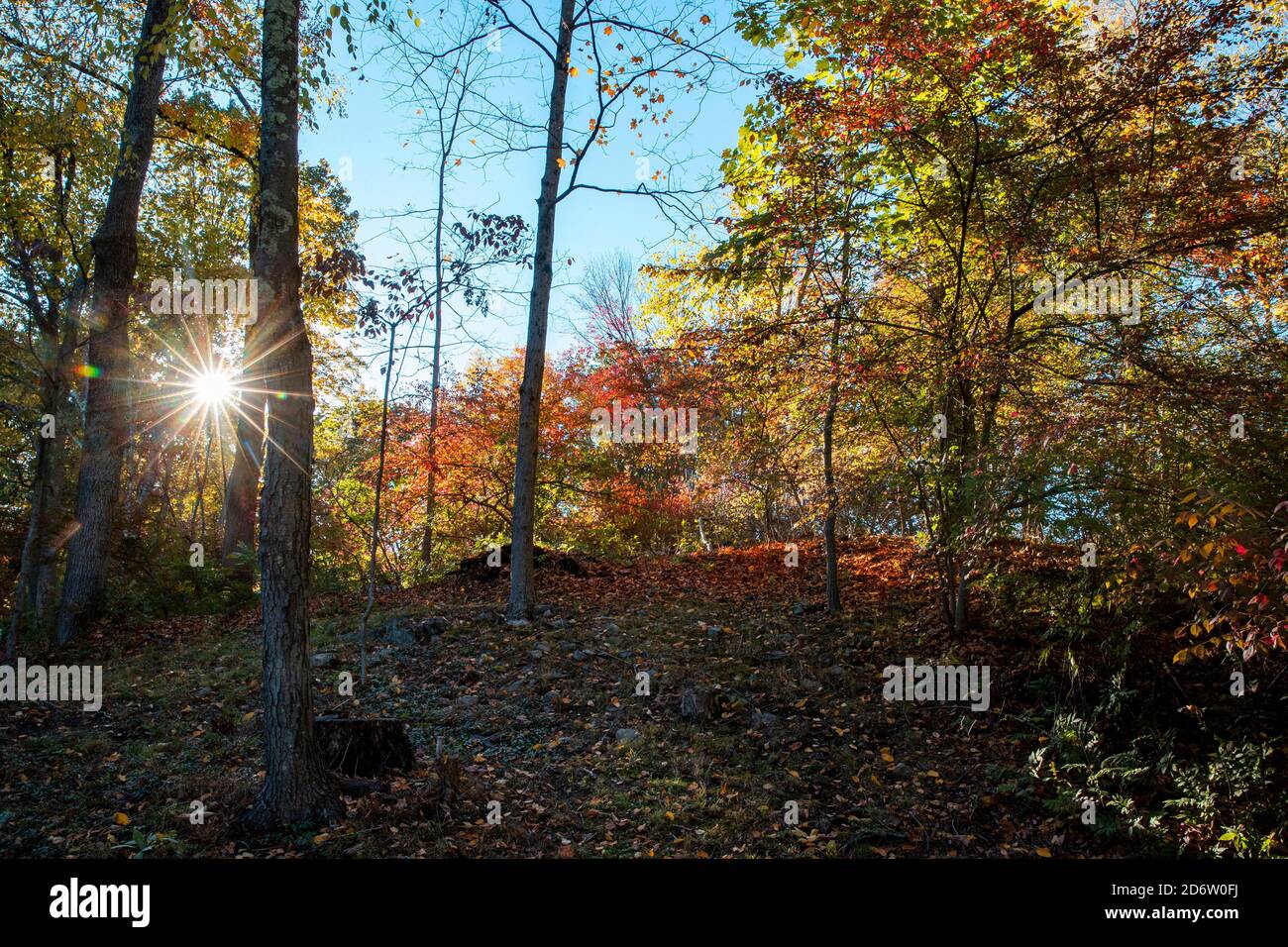 The beautiful colors of the autumn in upstate New York Stock Photo - Alamy