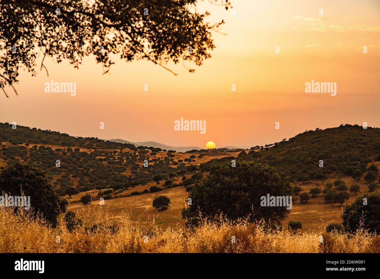 Sunset landscape between mountains with trees and sun shining in the b ...