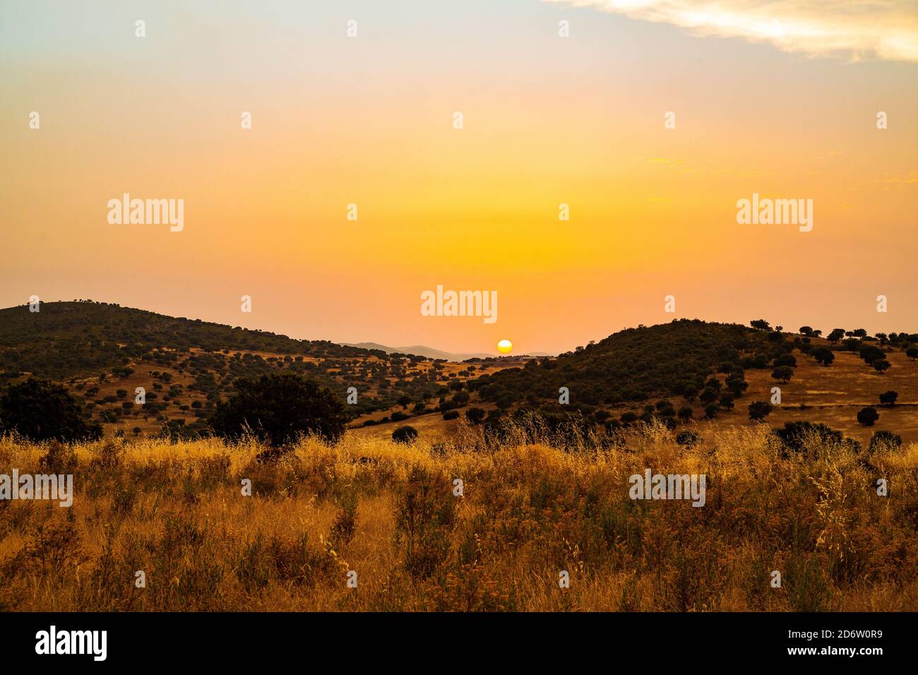 Intense sun desert hi-res stock photography and images - Alamy