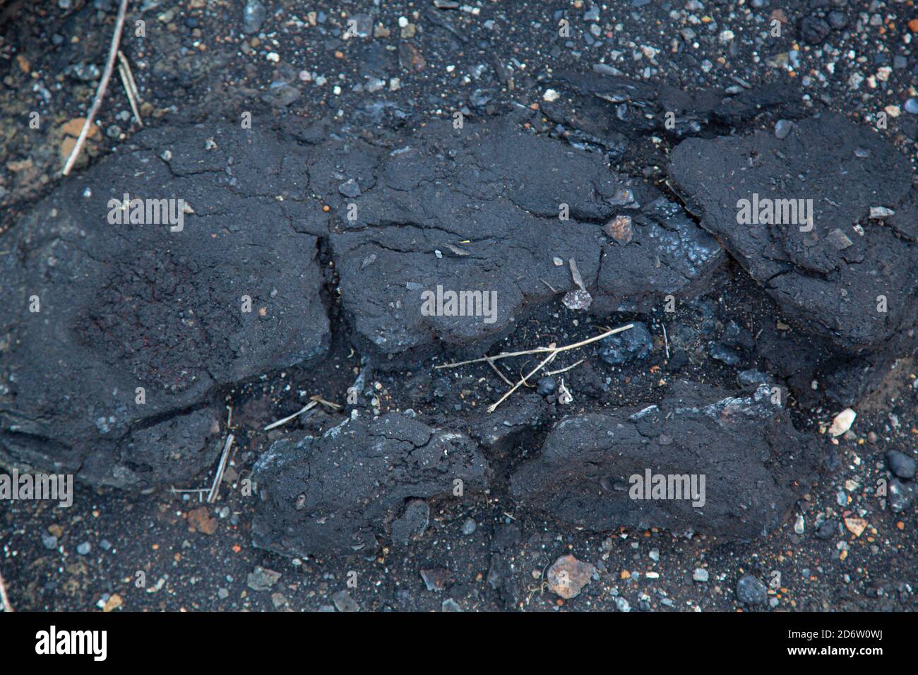 Black stone texture with erosion cracks Stock Photo - Alamy