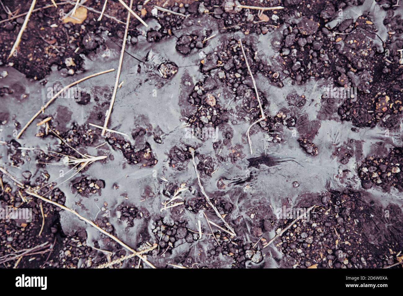 Texture of tar on waste ground with water shapes Stock Photo - Alamy