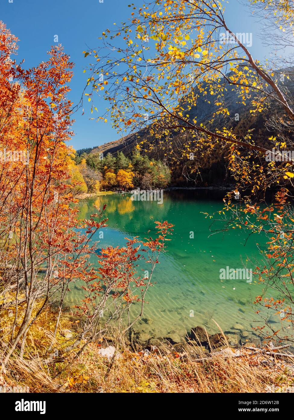 Mountain lake with transparent water and colorful autumnal trees ...