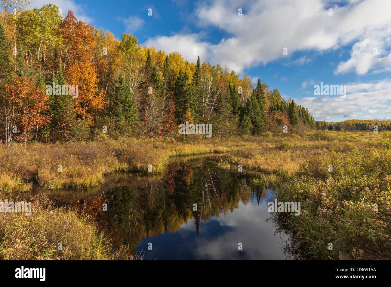 A pretty autumn view from a forest road in northern Wisconsin Stock ...