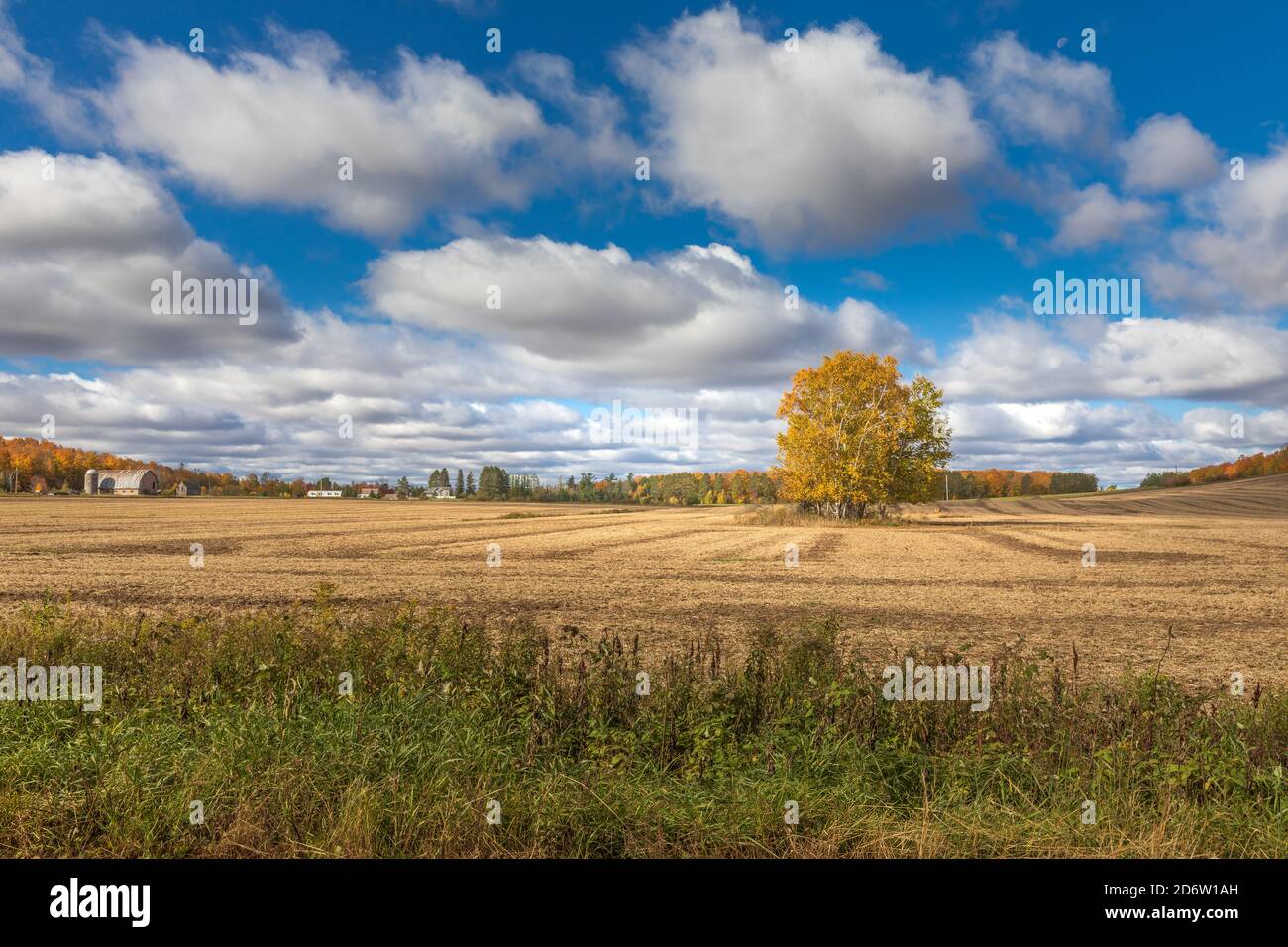 The rolling hills of a farmer's field in northern Wisconsin Stock Photo ...