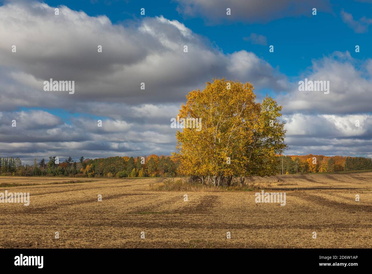 The rolling hills of a farmer's field in northern Wisconsin Stock Photo ...