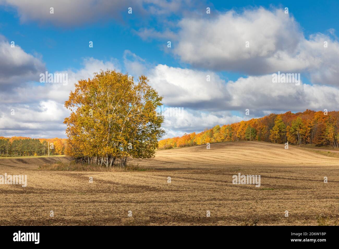 The rolling hills of a farmer's field in northern Wisconsin Stock Photo ...