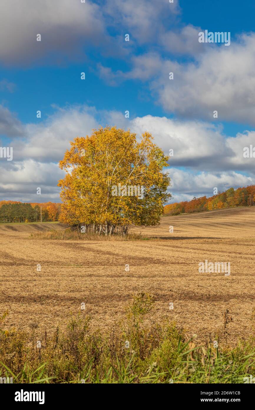 The rolling hills of a farmer's field in northern Wisconsin Stock Photo ...
