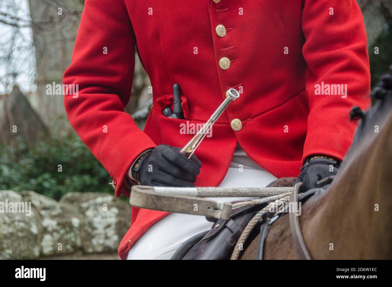 Huntsman on a horse wearing traditional red jacket with trumpet and ...