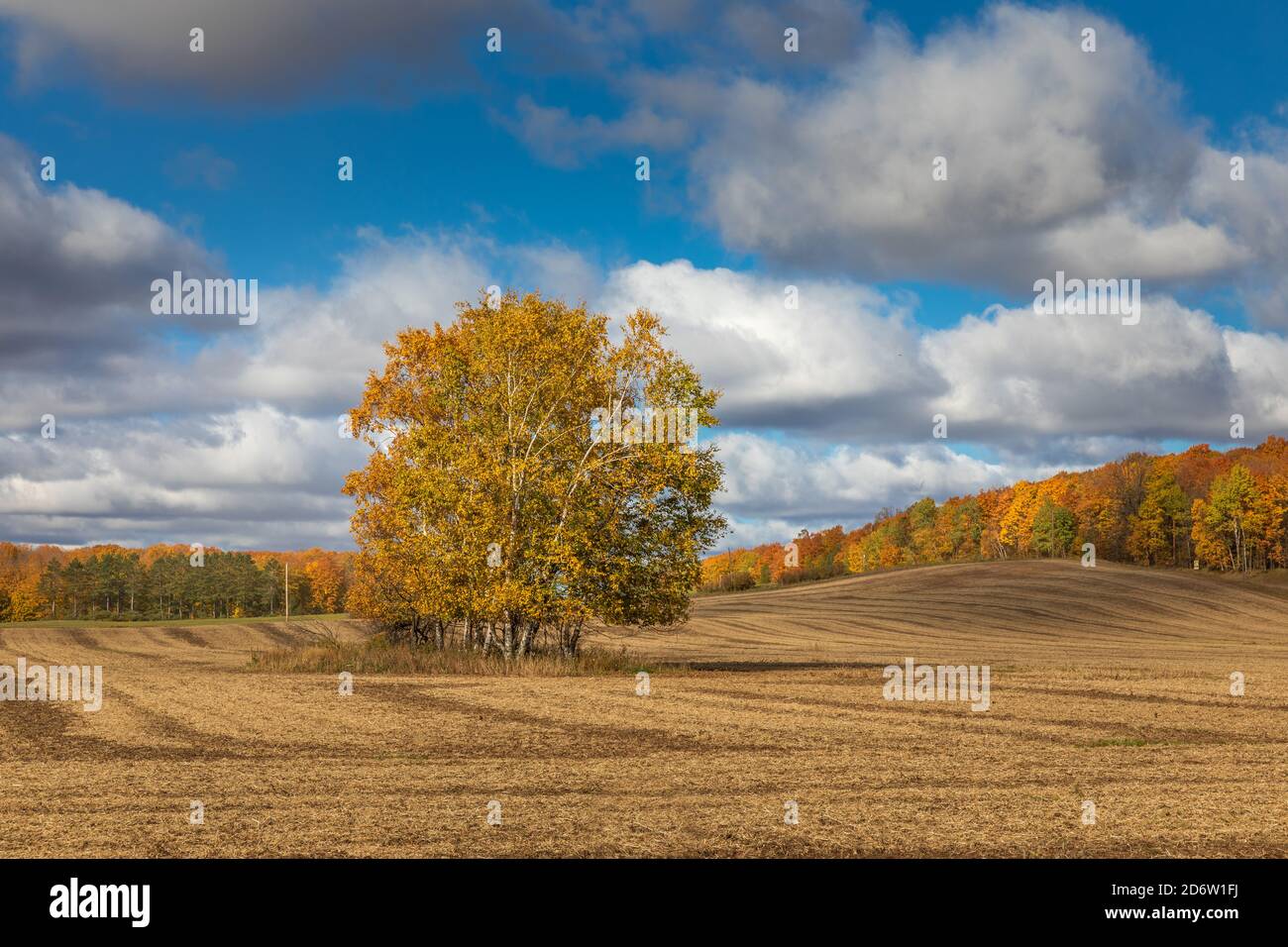 The rolling hills of a farmer's field in northern Wisconsin Stock Photo ...