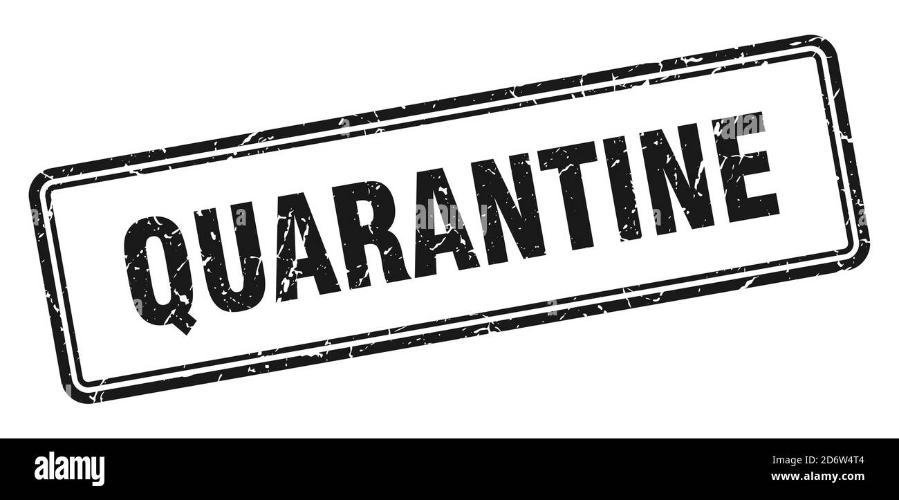 quarantine stamp. square grunge sign isolated on white background Stock ...