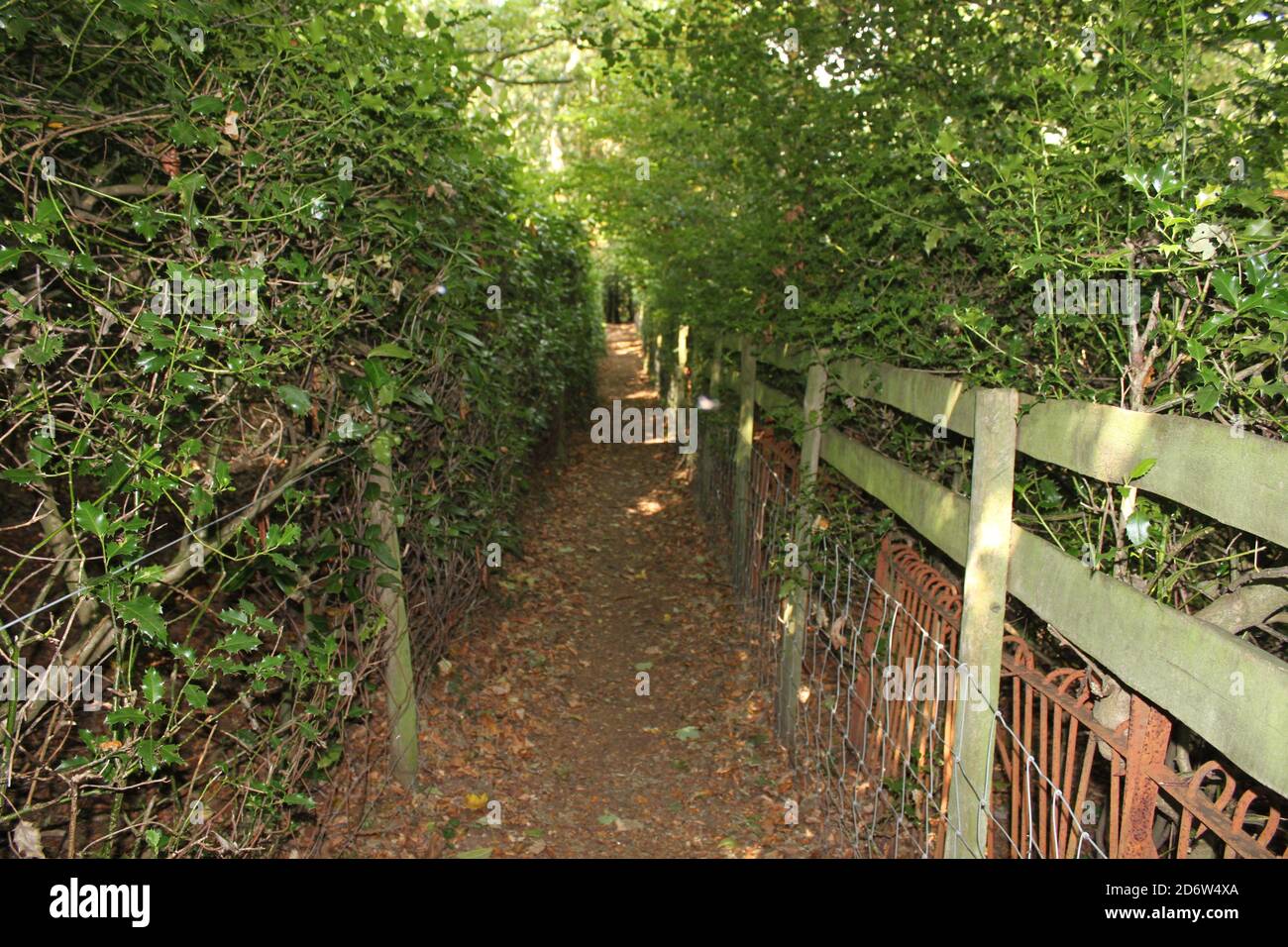 Offa's Dyke Path. National Trail. Long-distance trail. Anglo–Welsh ...