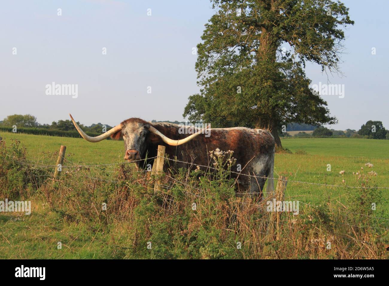 Offa's Dyke Path. National Trail. Long-distance trail. Anglo–Welsh ...