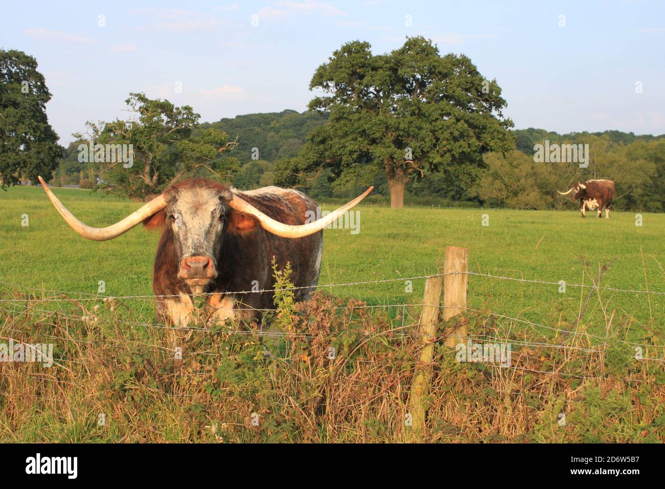 Offa's Dyke Path. National Trail. Long-distance trail. Anglo–Welsh ...
