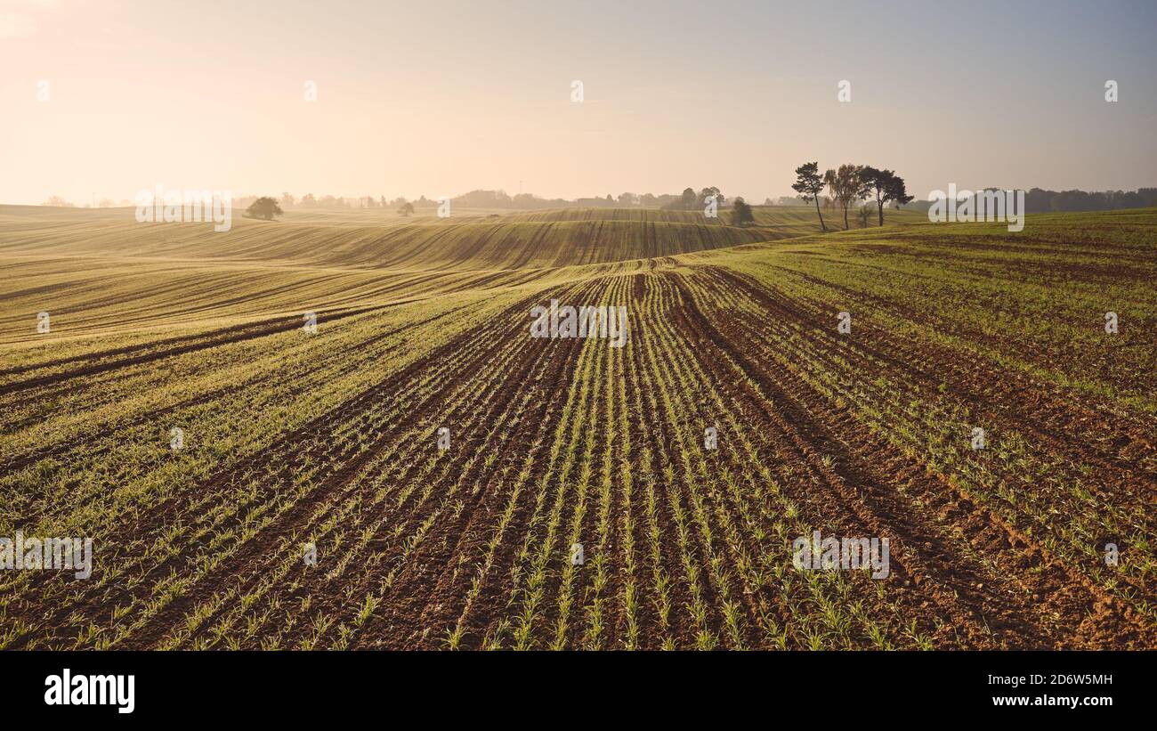 Agricultural landscape sunset agriculture hi-res stock photography and ...