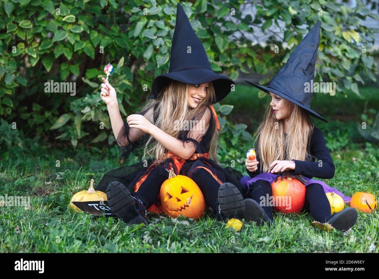 Two funny little sisters in witch costumes eating Halloween candy Stock ...