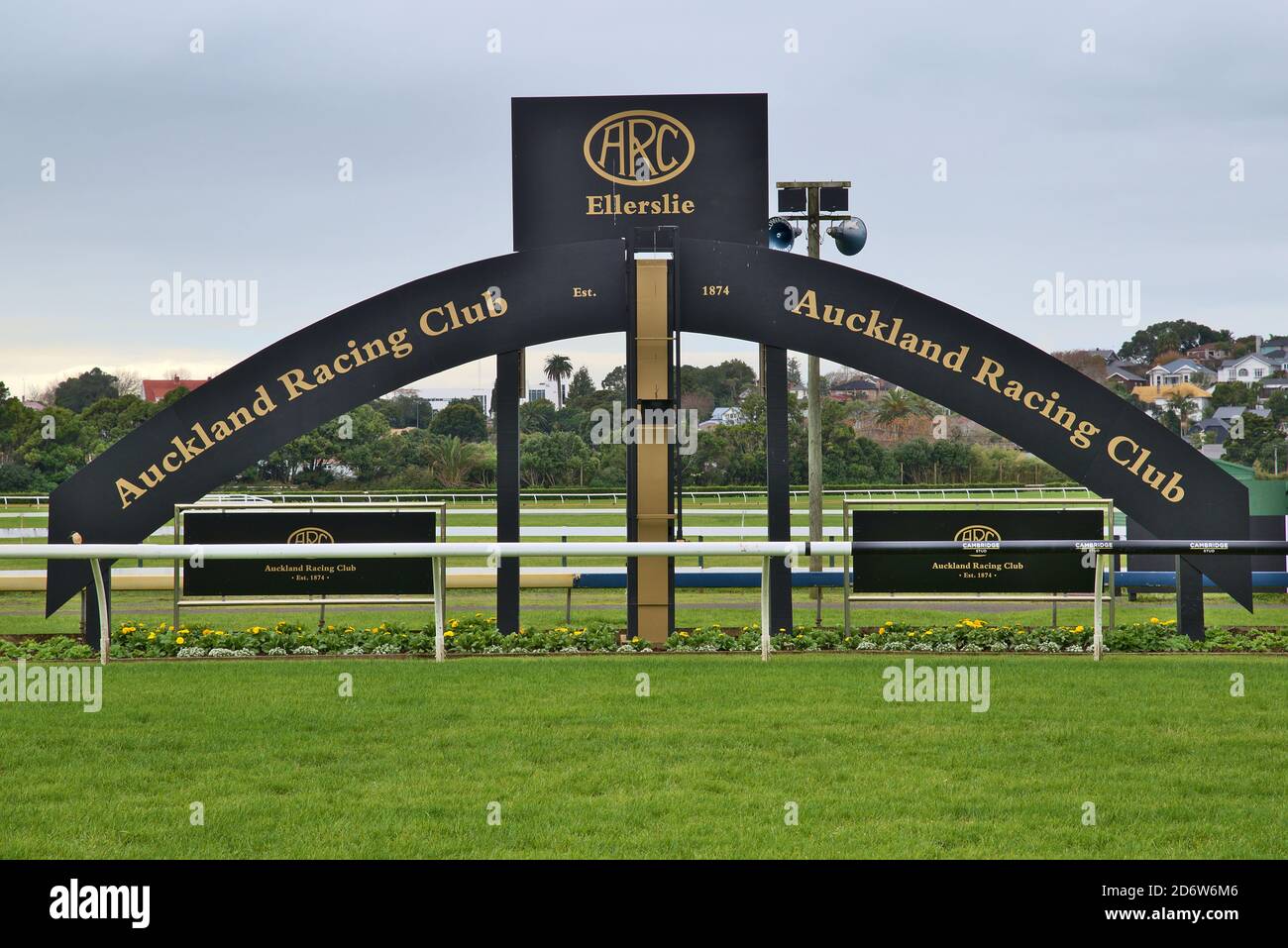Auckland horse racing hi-res stock photography and images - Alamy