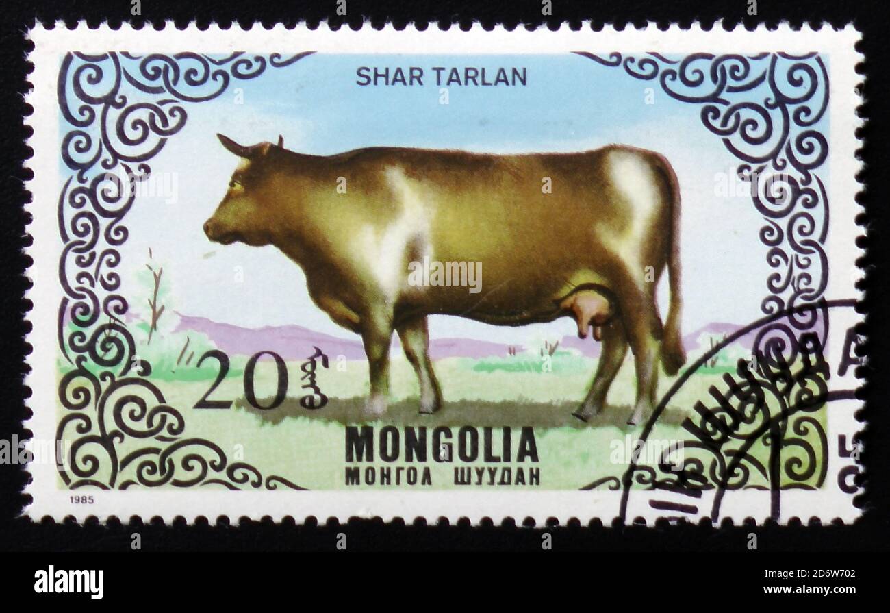 MOSCOW, RUSSIA - FEBRUARY 12, 2017: A stamp printed in Mongolia shows a ...