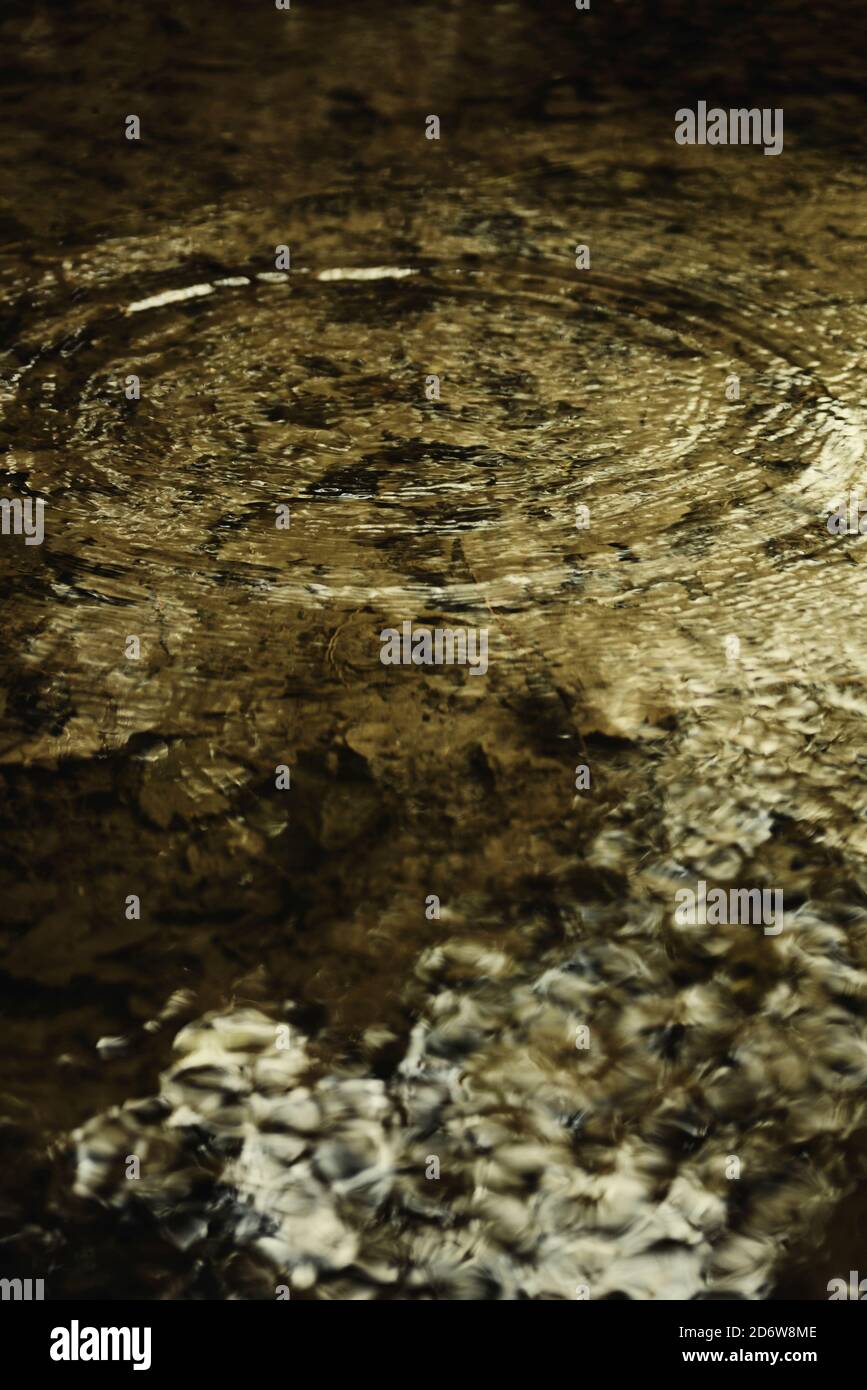 Puddle ripple green hi-res stock photography and images - Alamy