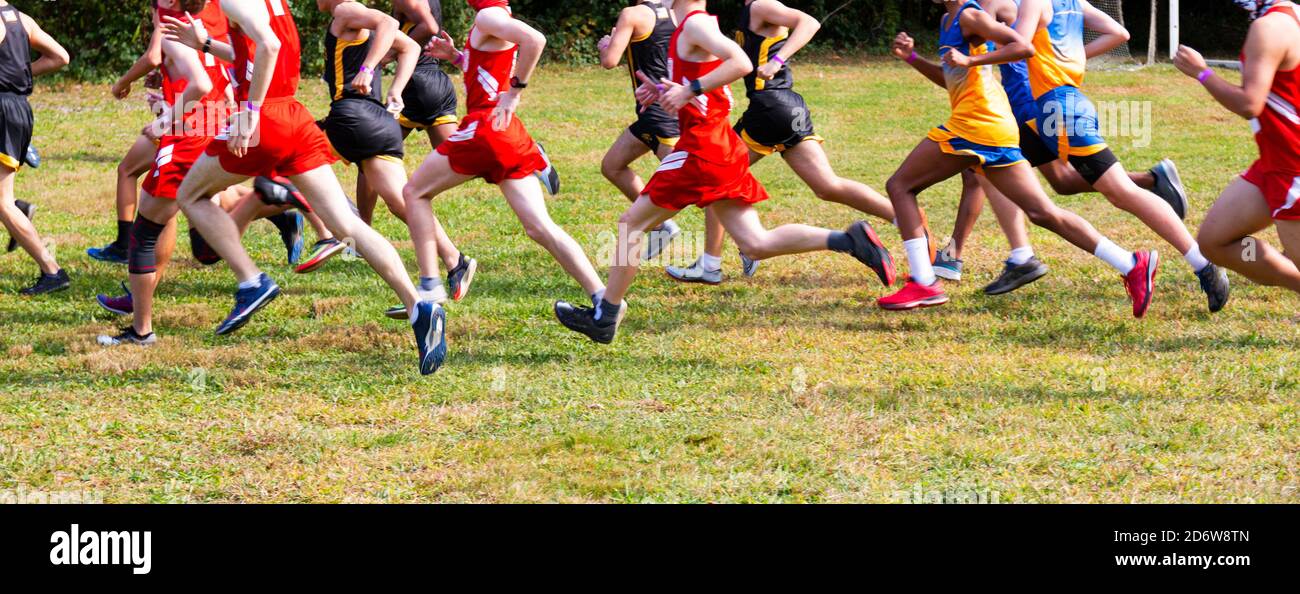 Side view of the start of a boys cross country running race on grass ...