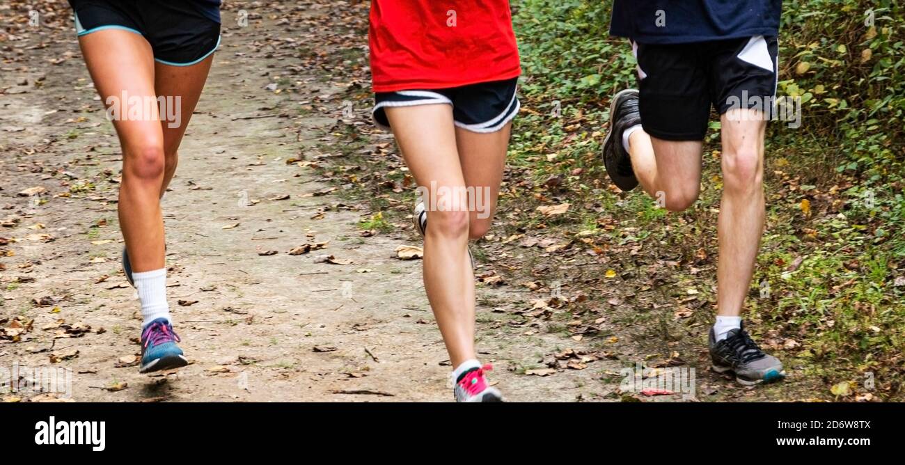Front view of three runners on a dirt path in the woods running ...