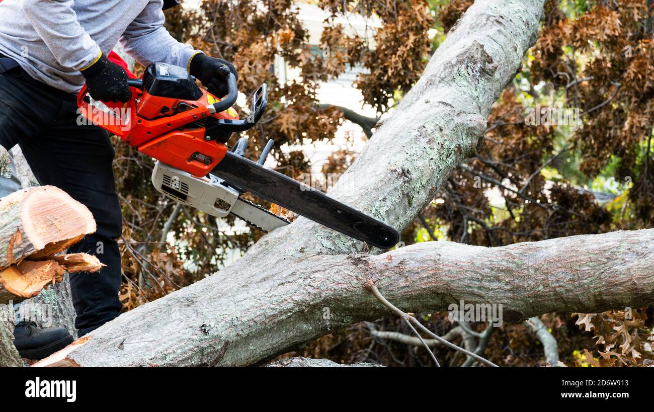 Worker removing bark from tree hi-res stock photography and images - Alamy