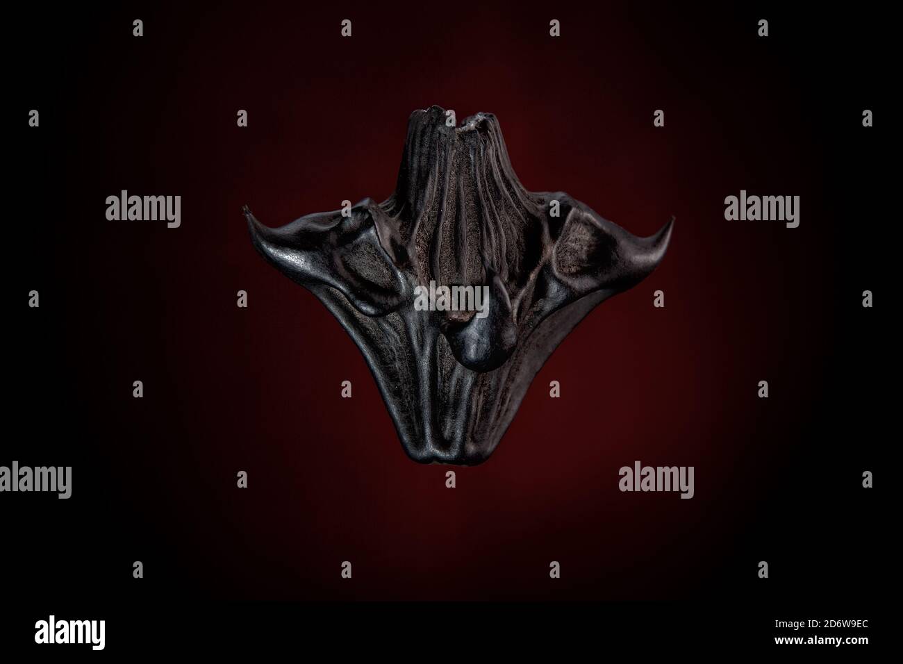 Horned demon evil horns hi-res stock photography and images - Alamy