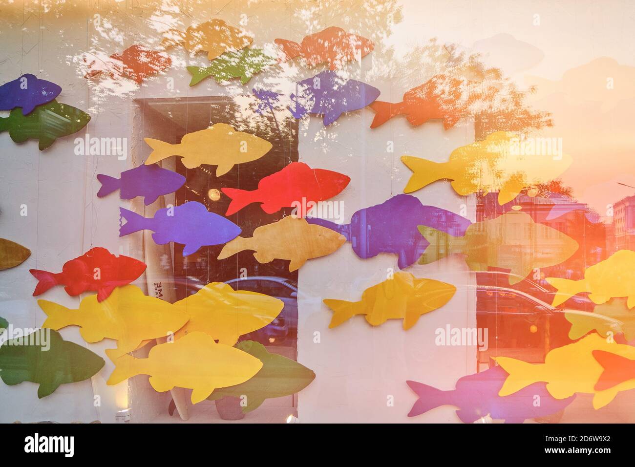 Layouts fish green, blue, yellow and red colors. Toy colorful fish in ...