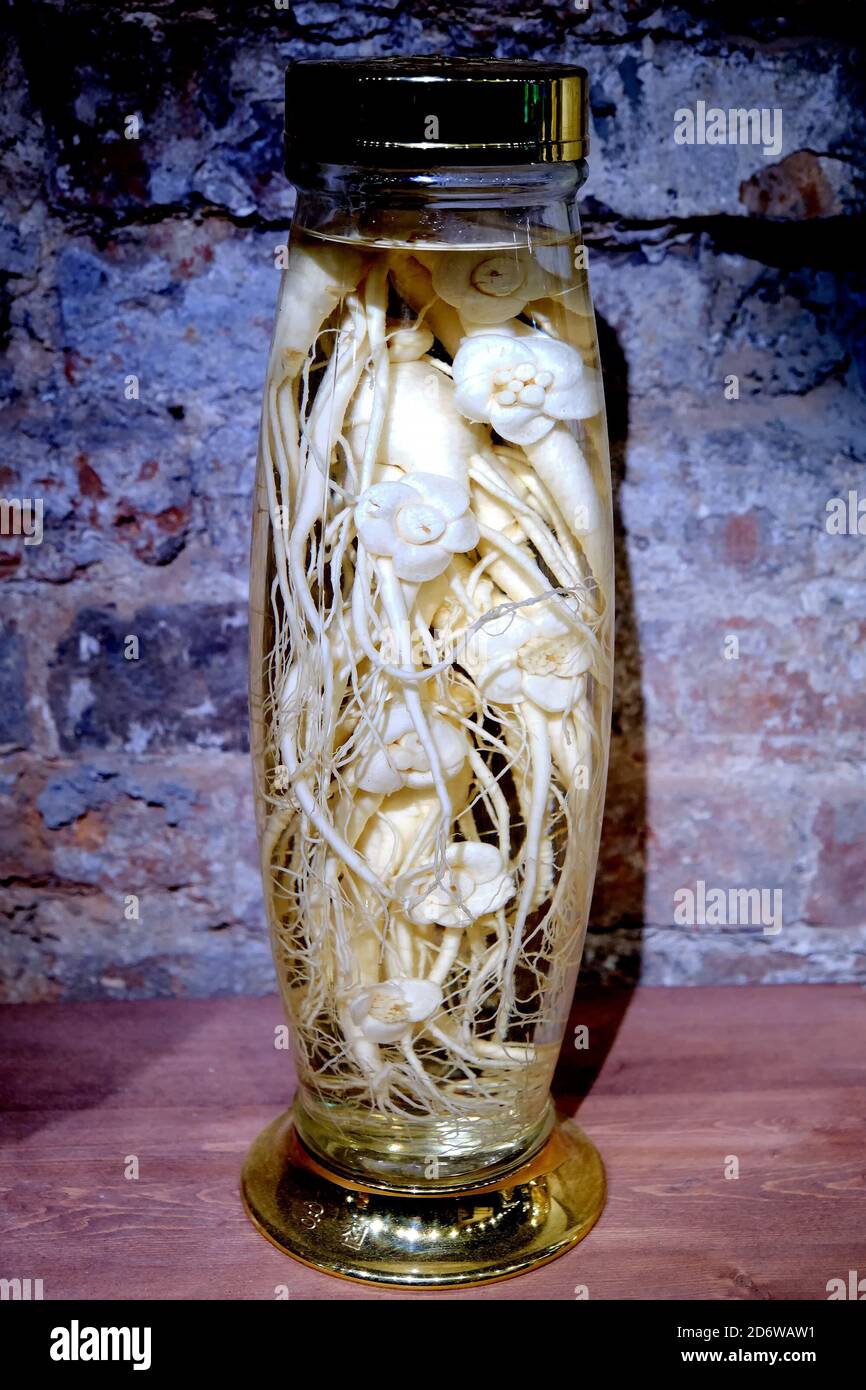 Glass jar with ginseng hi-res stock photography and images - Alamy
