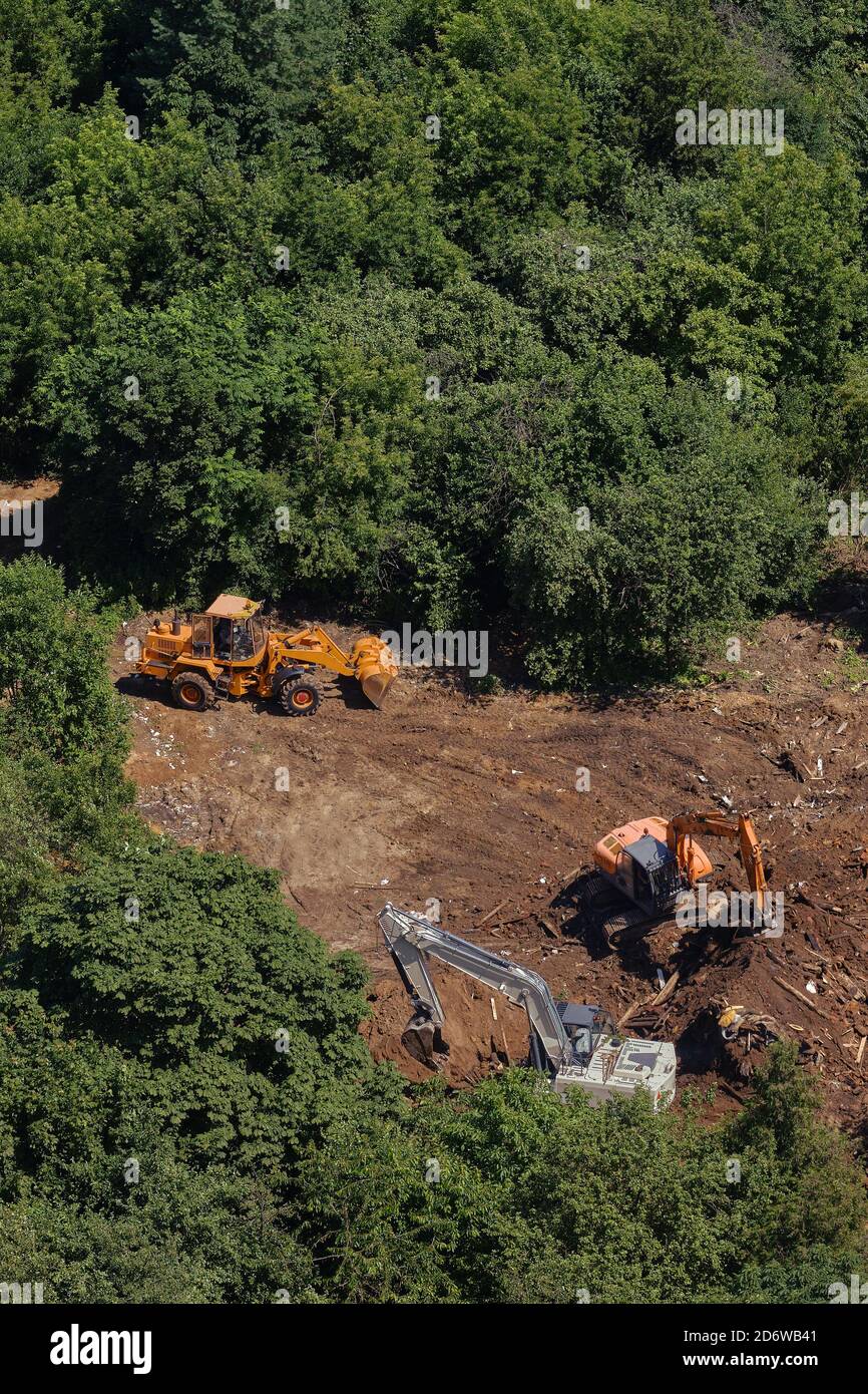 Construction equipment works in the forest among the trees Stock Photo ...